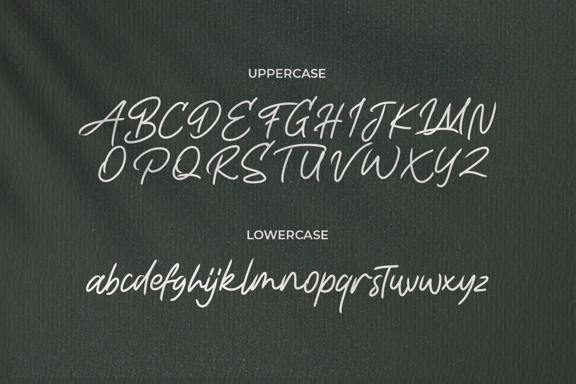 Life Rolling Handwritten Script Font - Etsy