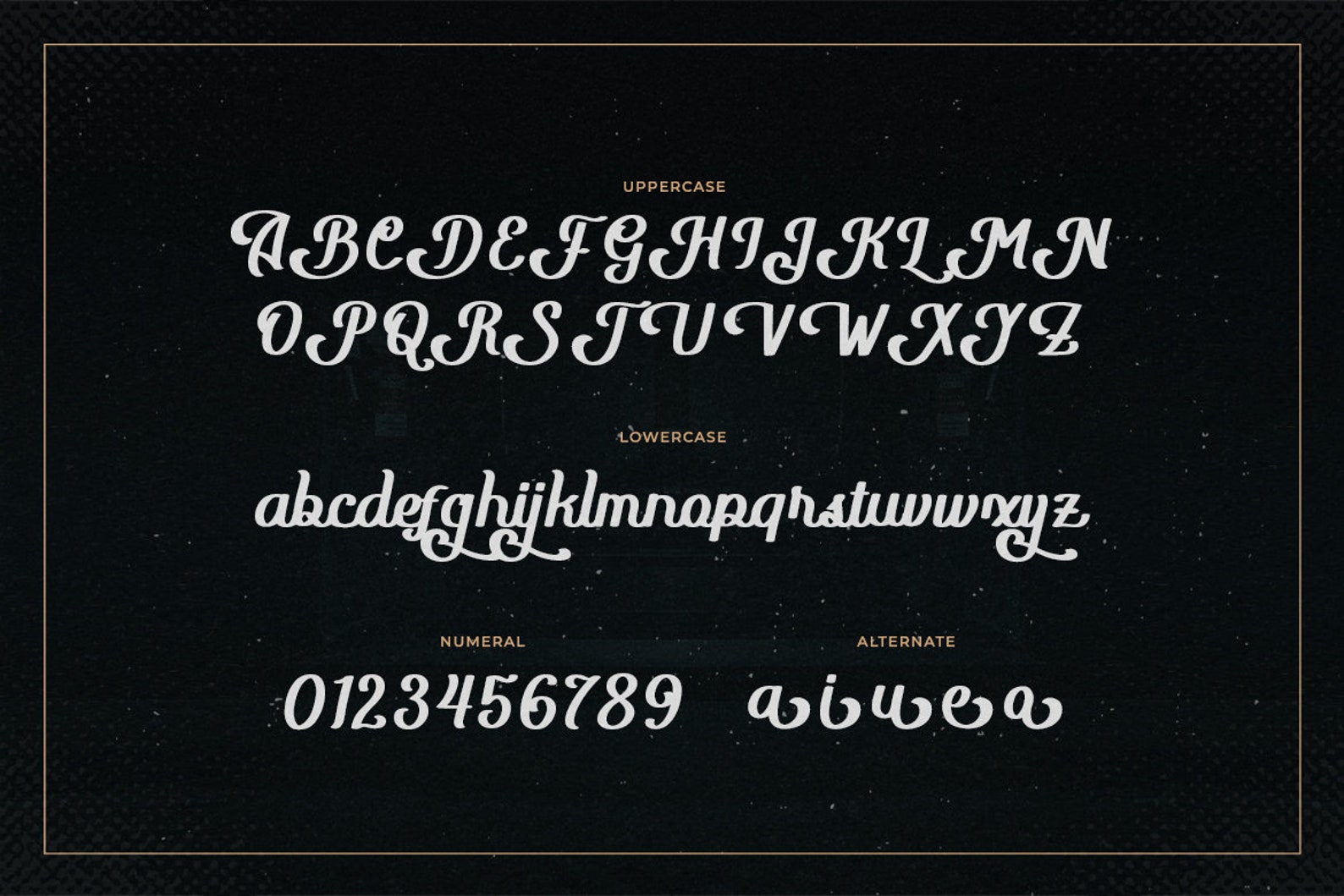 Blacklight - A Vintage Script Font - Etsy