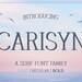 Carisyn Serif Font Family - Etsy