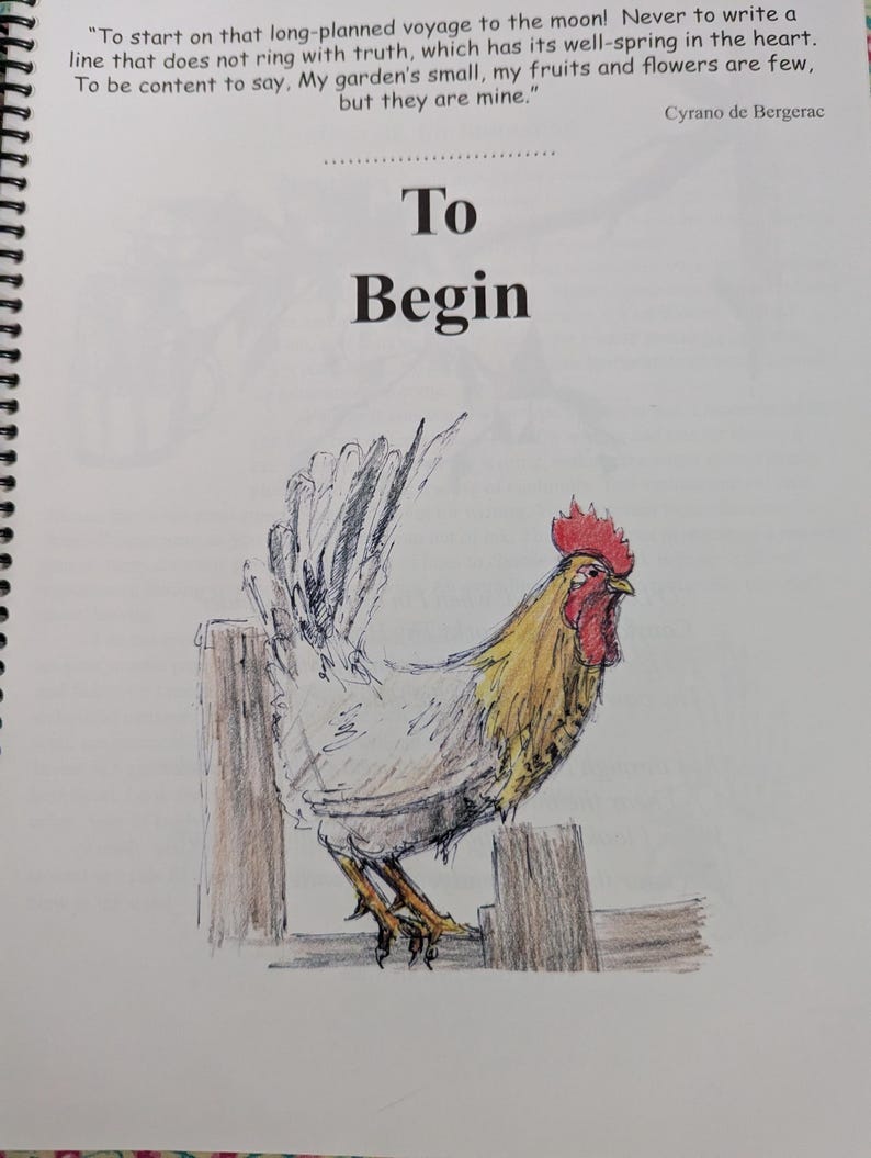 Nature Drawing & Journaling by Barry Stebbing/ Lessons for Journaling ...