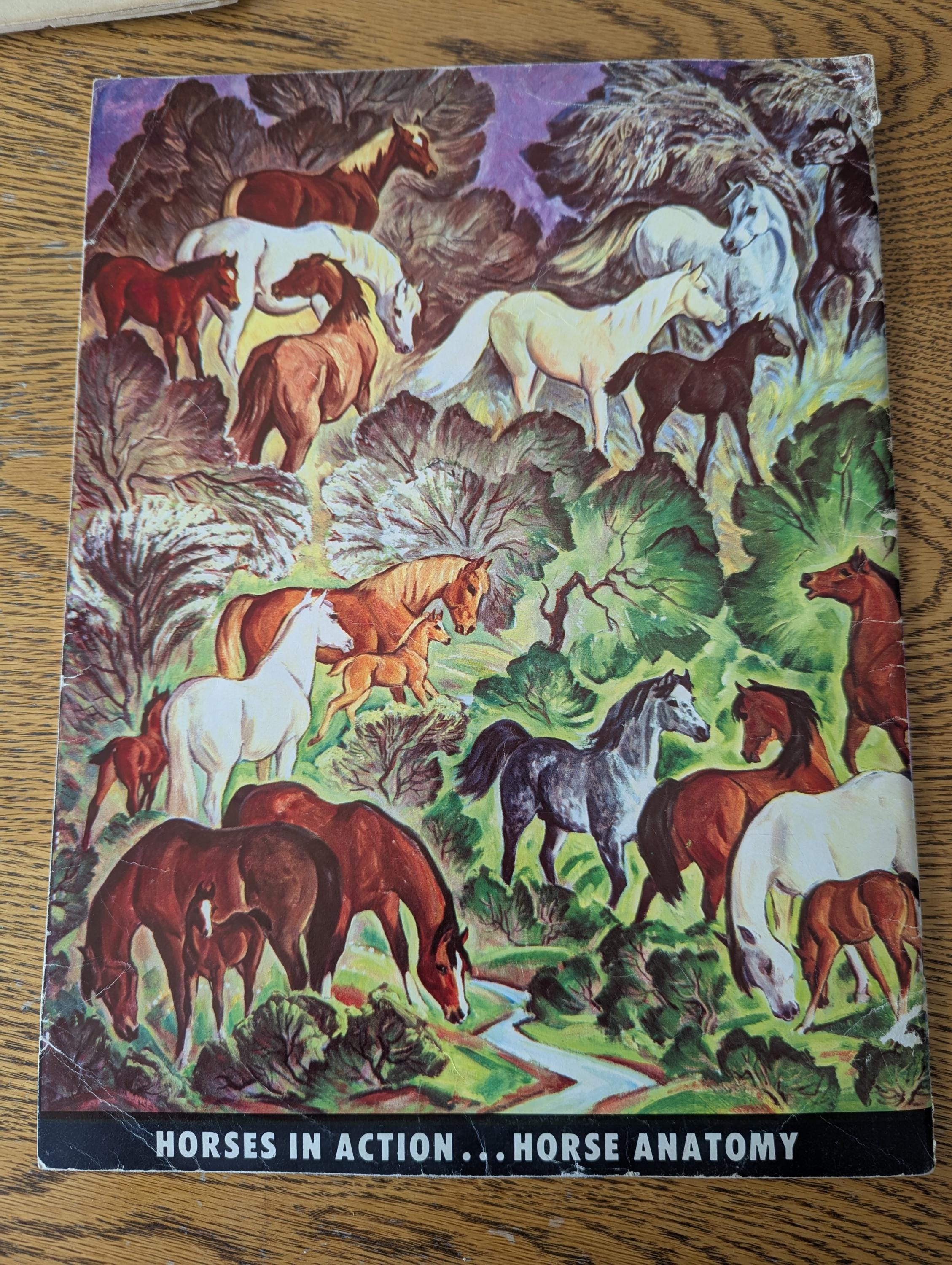 Walter Foster Art Book / How to Draw Horses/ Vintage Art Book - Etsy