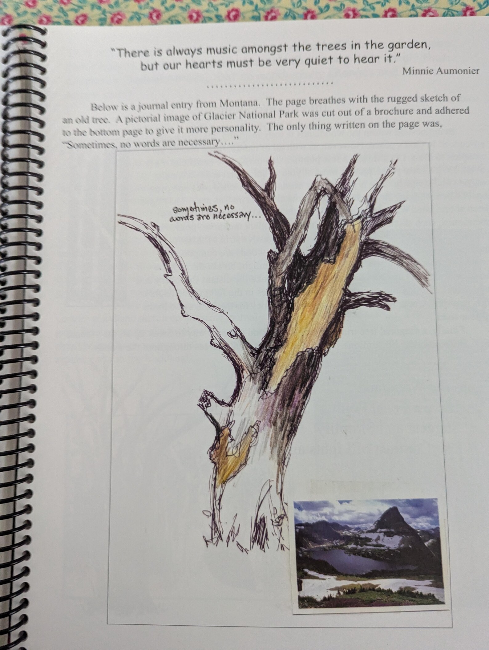 Nature Drawing & Journaling by Barry Stebbing/ Lessons for Journaling ...