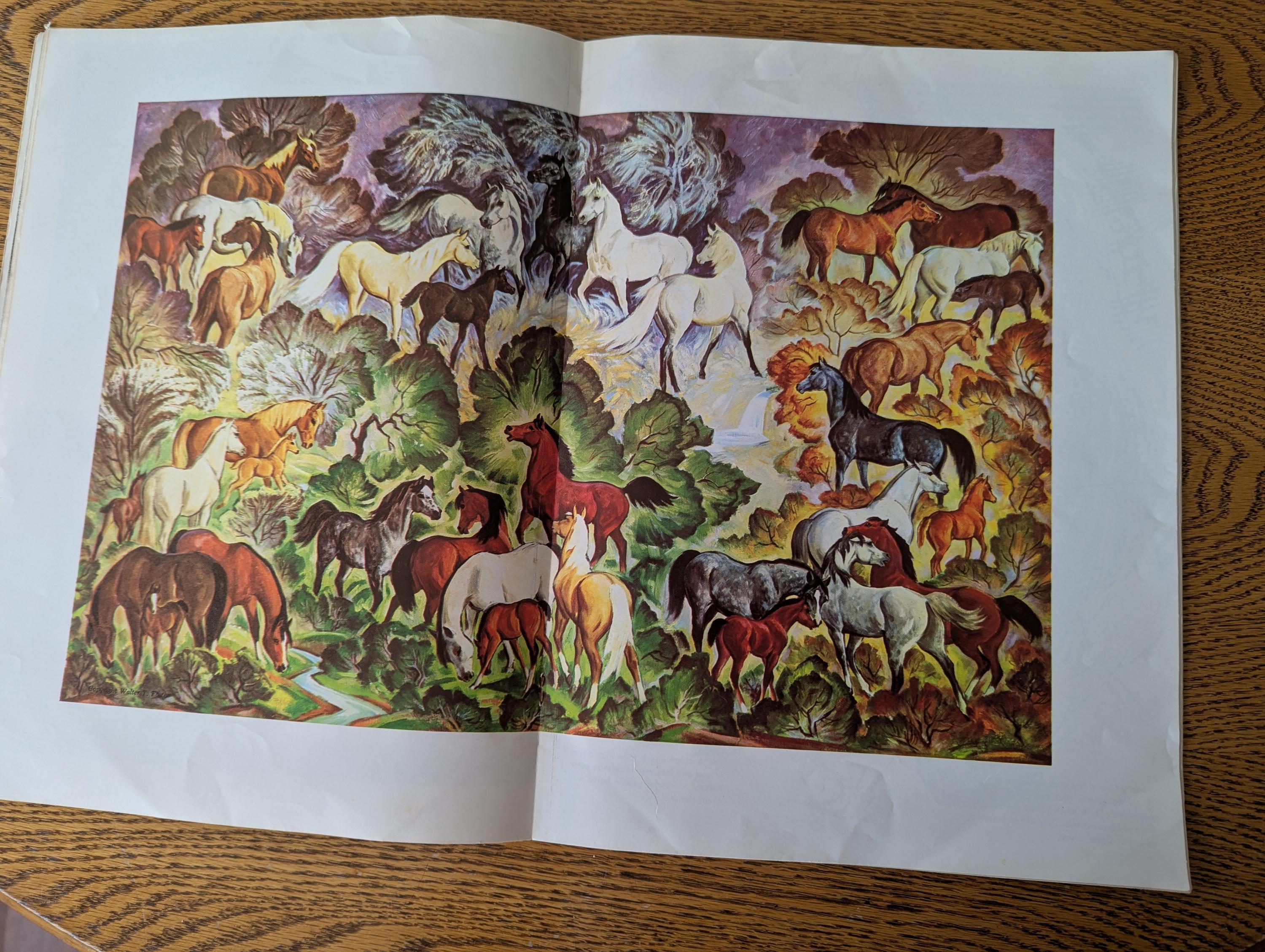 Walter Foster Art Book / How to Draw Horses/ Vintage Art Book - Etsy