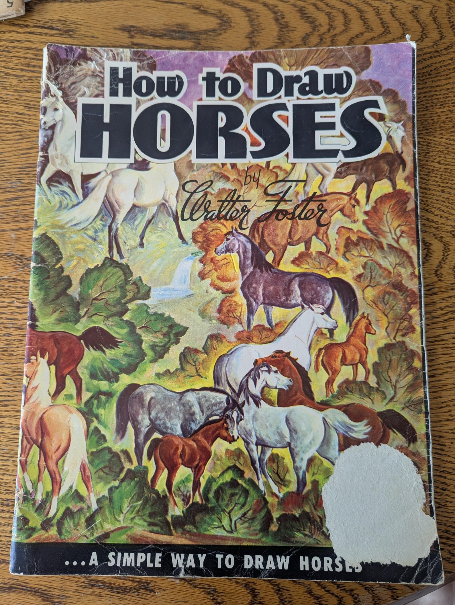 Walter Foster Art Book / How to Draw Horses/ Vintage Art Book - Etsy