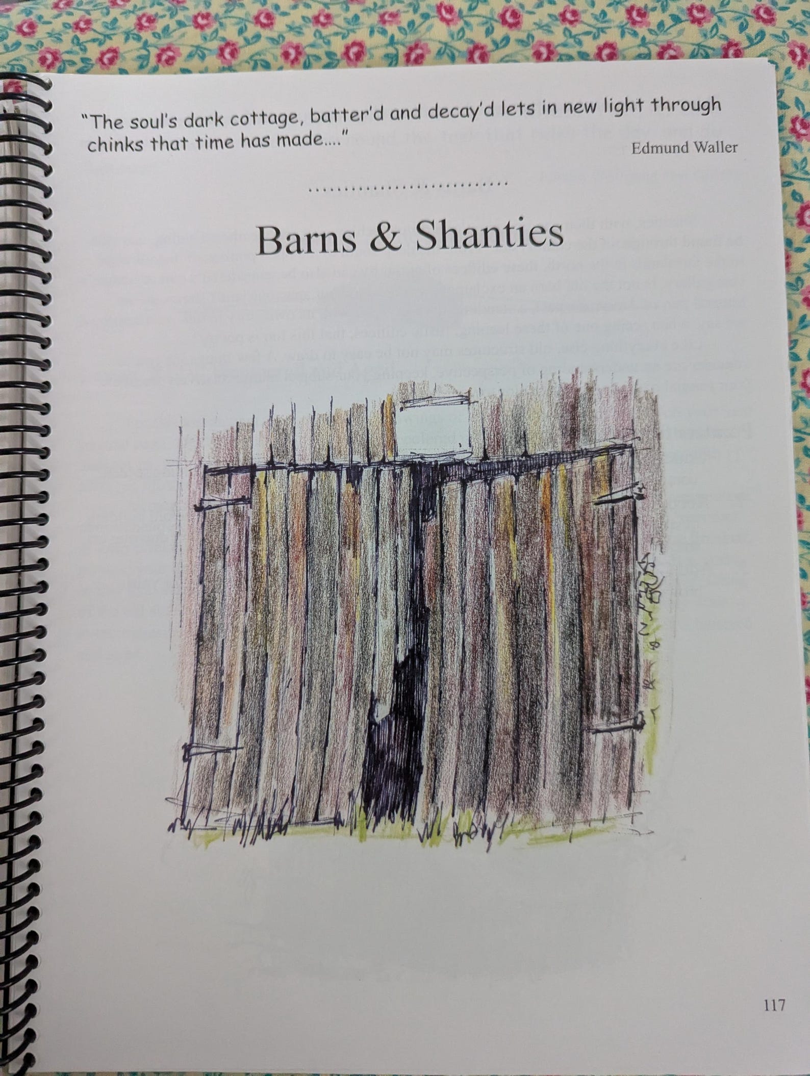 Nature Drawing & Journaling by Barry Stebbing/ Lessons for Journaling ...
