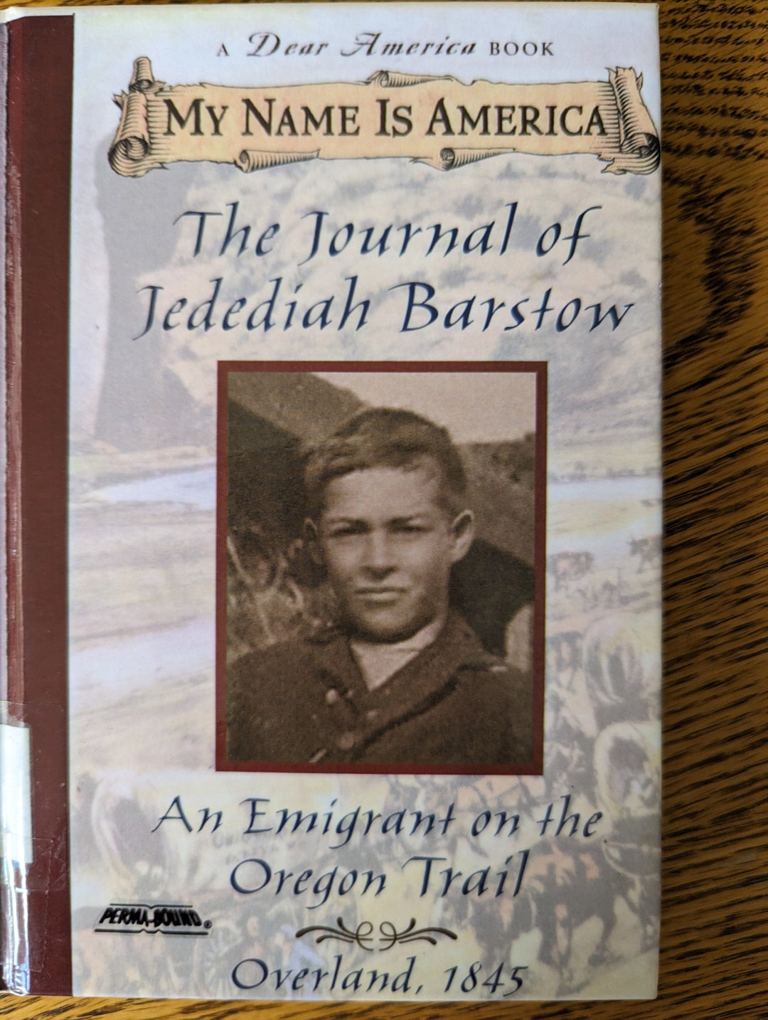 Dear America Book / My Name is America / Oregon Trail/ History Book for ...