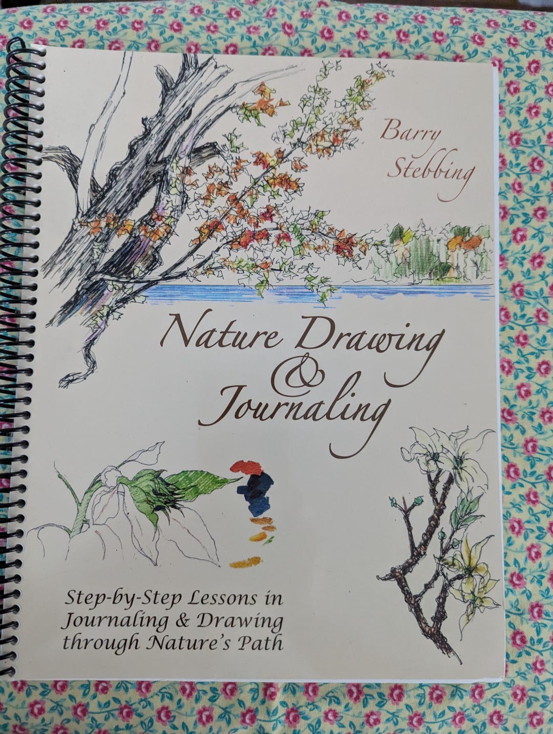Nature Drawing & Journaling by Barry Stebbing/ Lessons for Journaling ...