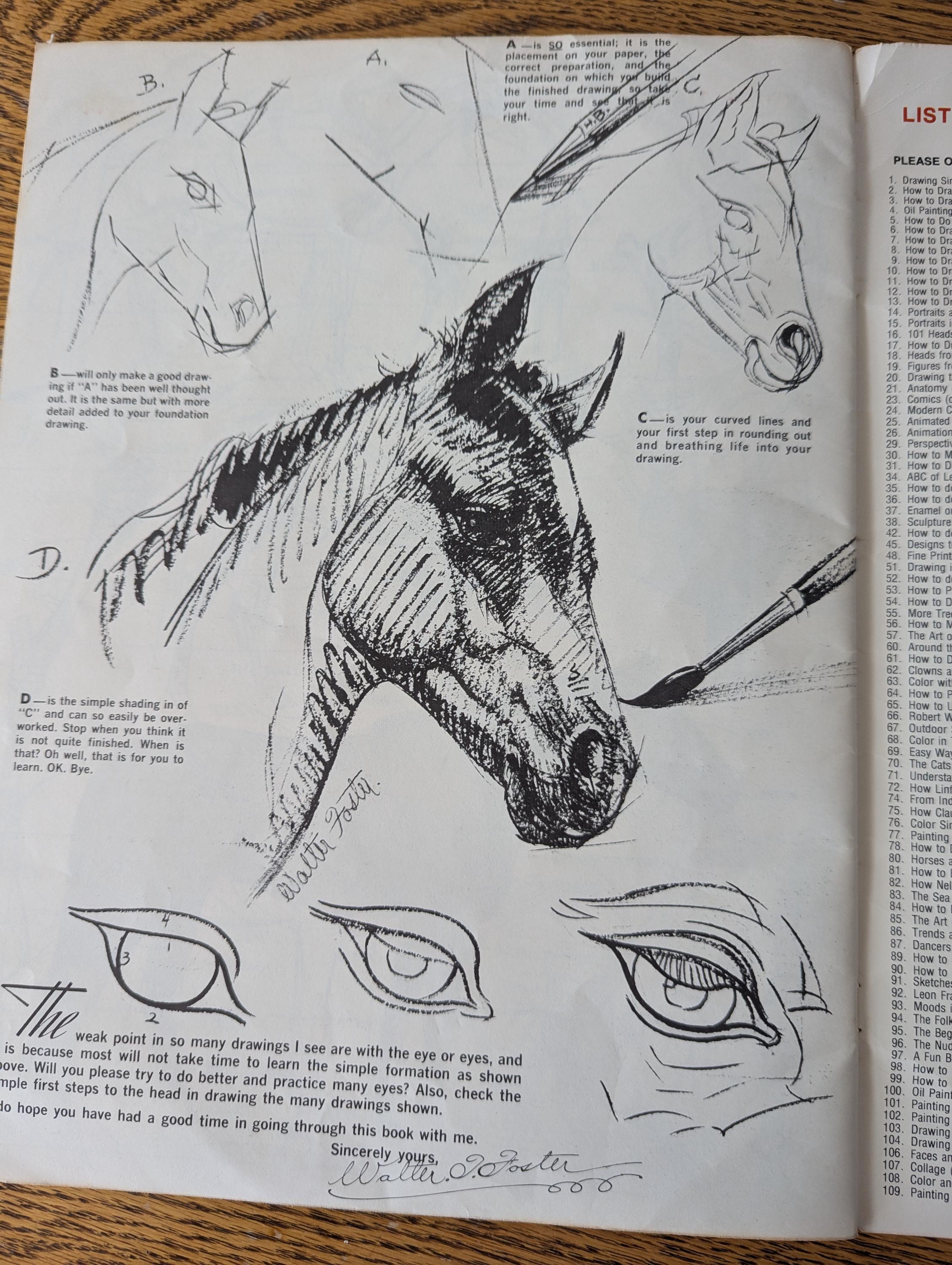 Walter Foster Art Book / How to Draw Horses/ Vintage Art Book - Etsy