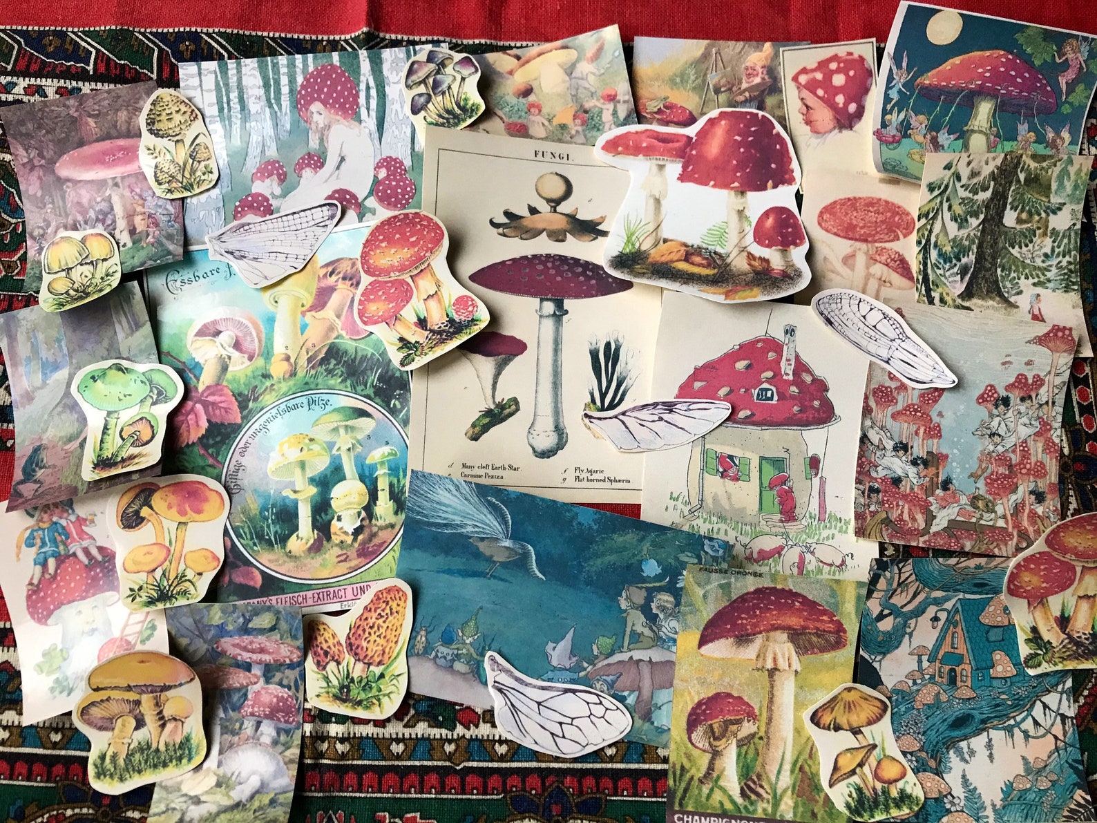 35PCS Vintage Fungi Stickers Mushrooms Forest Cottagecore | Etsy UK