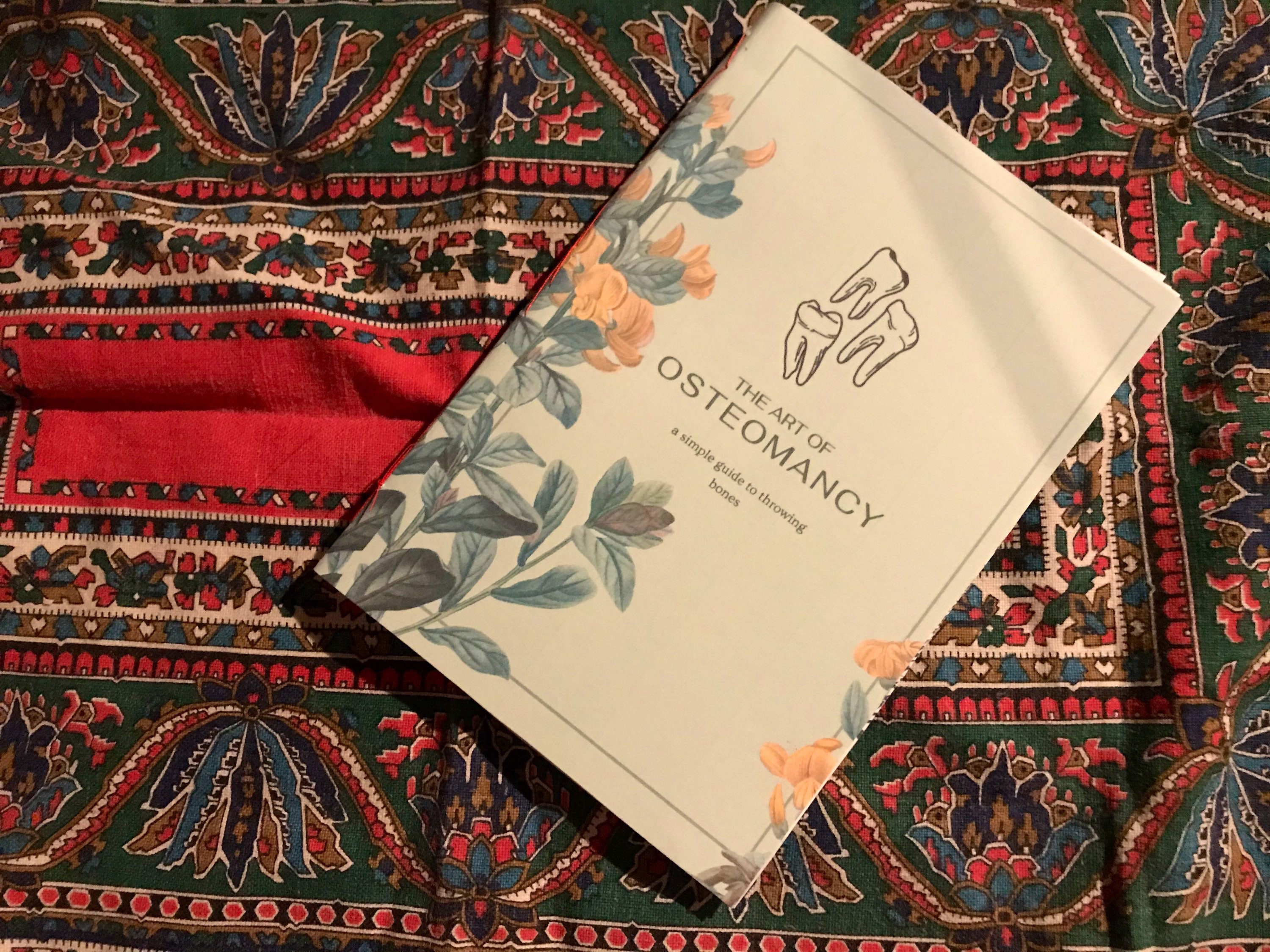 Throwing Bones Guide Book, A Guide to Throwing Bones Zine, Osteomancy ...