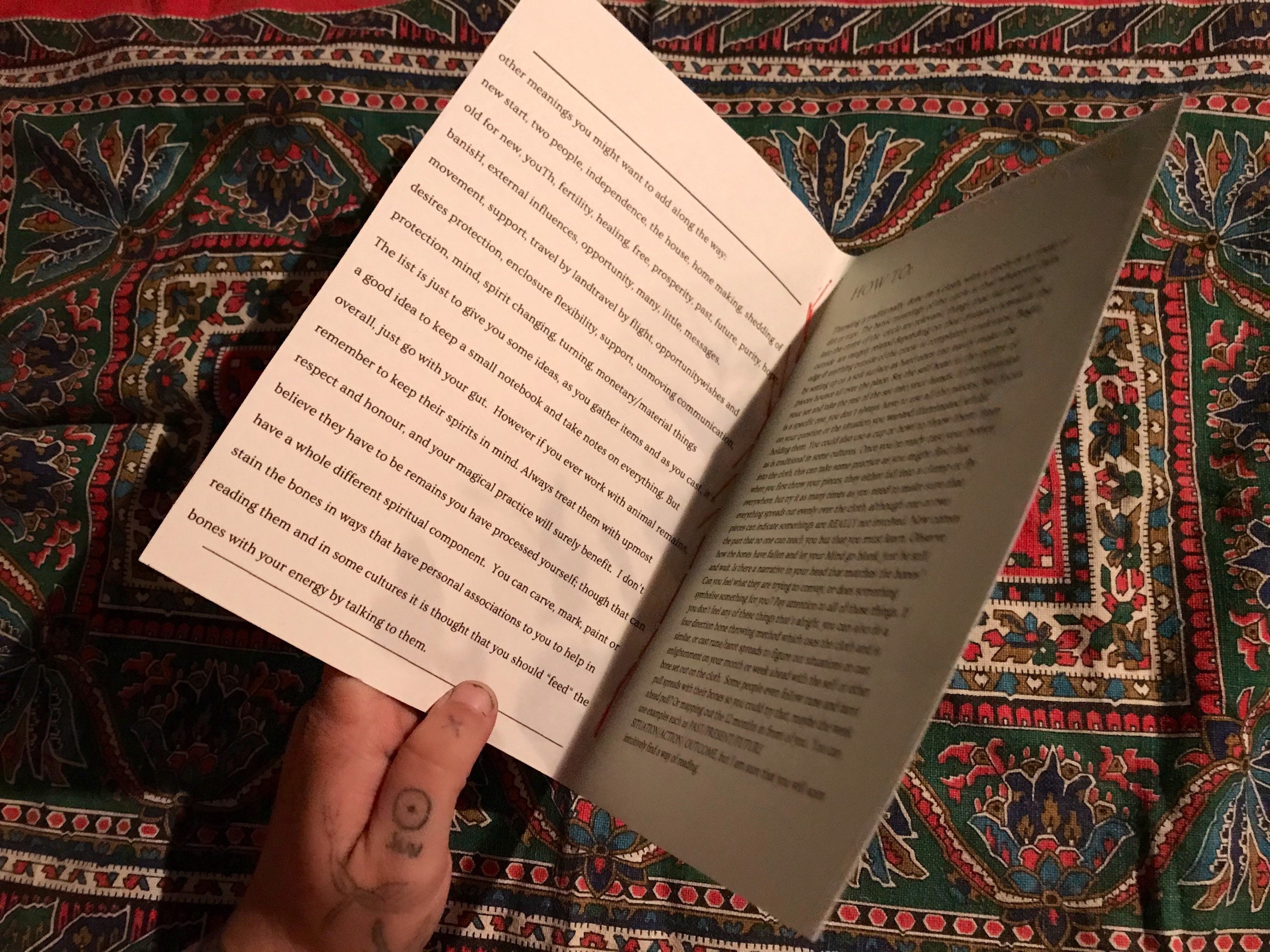 Throwing Bones Guide Book, A Guide to Throwing Bones Zine, Osteomancy ...