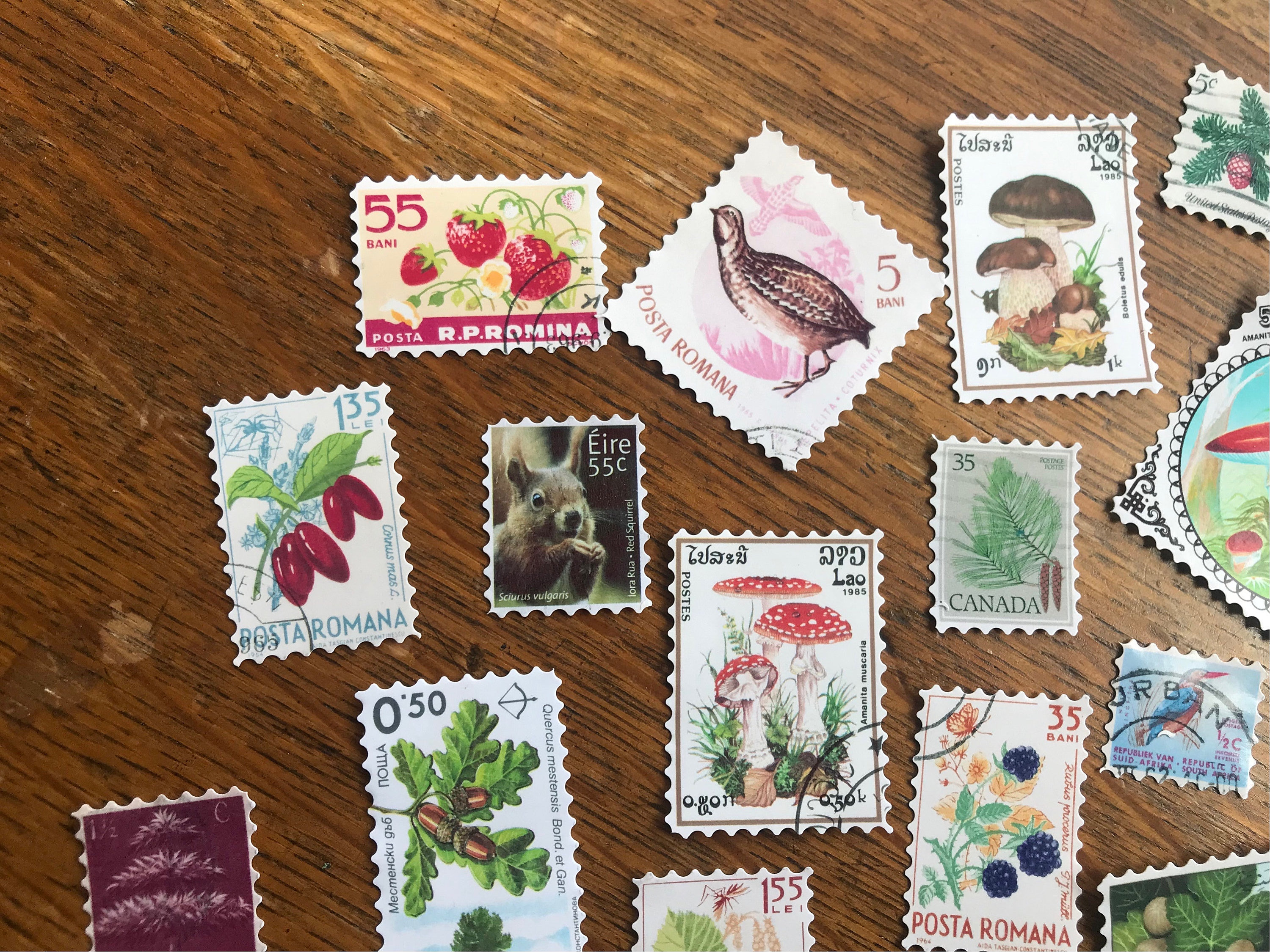 25PCS Woodland Postage Stamp Sticker Pack, Fruit, Fungi, Mushrooms ...