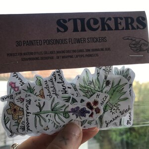 30PCS Witchy Plants Sticker Set, Hand Drawn, Botanical, Journal, Folk ...