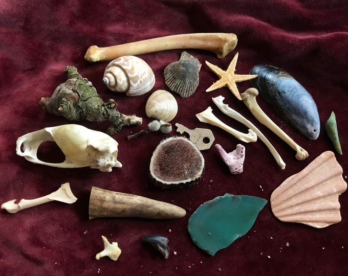 Bone Throwing, Oracle, Osteomancy Set, Bone Reading , Wicca ...