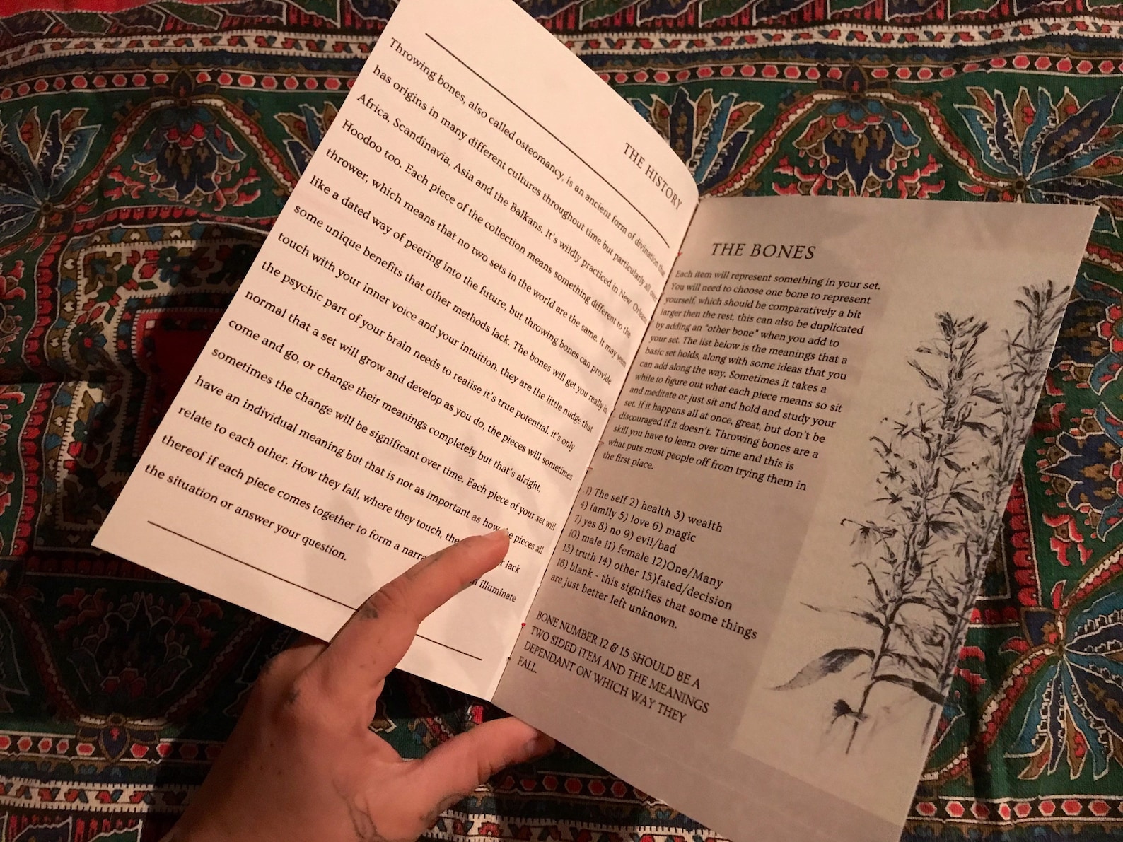 Throwing Bones Guide Book, A Guide to Throwing Bones Zine, Osteomancy ...