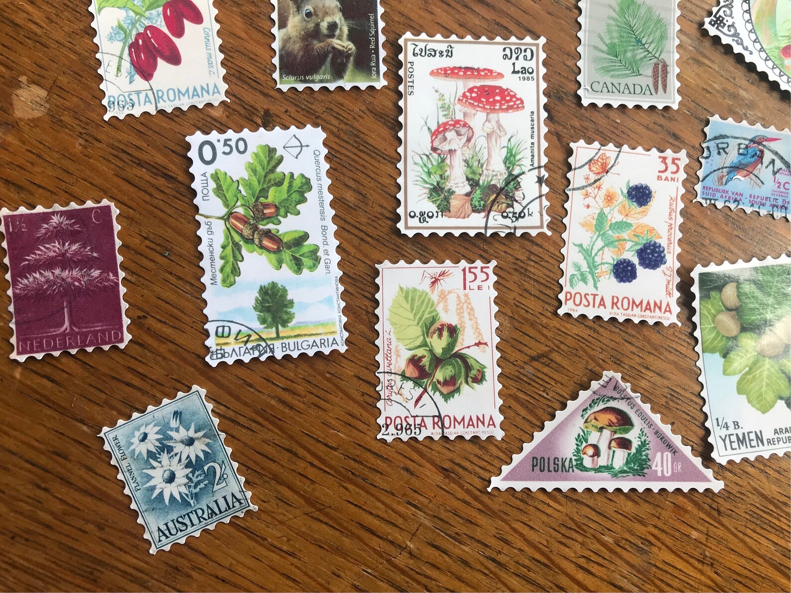 25PCS Woodland Postage Stamp Sticker Pack, Fruit, Fungi, Mushrooms ...