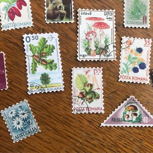 25PCS Woodland Postage Stamp Sticker Pack, Fruit, Fungi, Cute Mushrooms ...