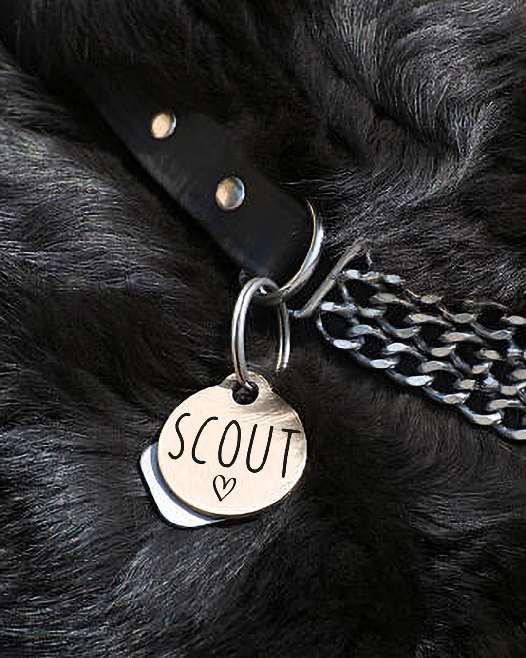 Personalized Dog Name Tag for Collar, Custom Engraved Pet ID Tag for ...