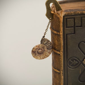 Unique Gifts Real Ammonite Bookmark Fossil Bookmark Fossil Jewellery ...