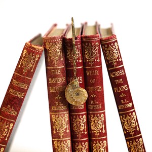 Unique Gifts Real Ammonite Bookmark Fossil Bookmark Fossil Jewellery ...