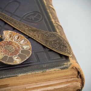 Unique Gifts Real Ammonite Bookmark Fossil Bookmark Fossil Jewellery ...
