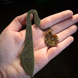 Unique Gifts Real Ammonite Bookmark Fossil Bookmark Fossil Jewellery ...
