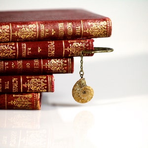 Unique Gifts Real Ammonite Bookmark Fossil Bookmark Fossil Jewellery ...
