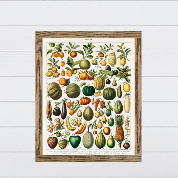 Vintage Fruit Chart Wall Décor Farmhouse Kitchen Wall Art | Etsy