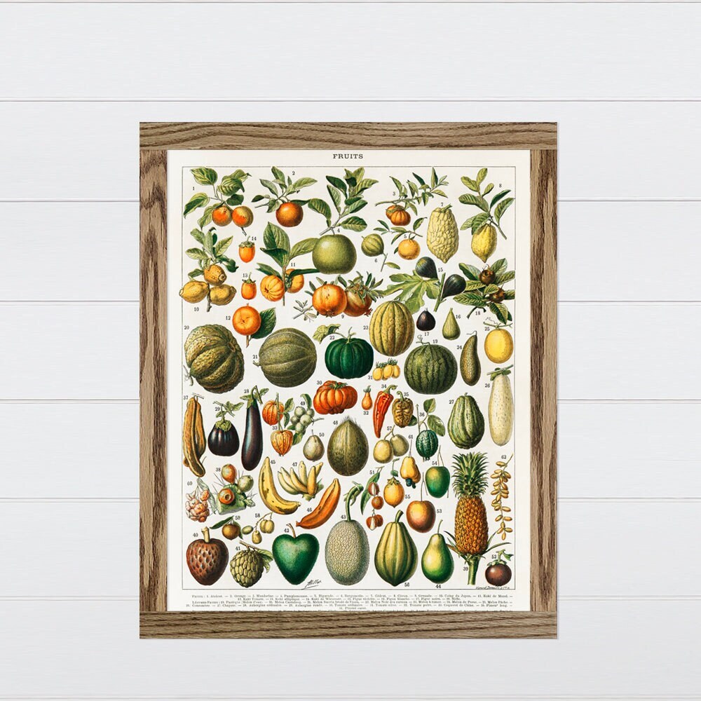 Vintage Fruit Chart Wall Décor Farmhouse Kitchen Wall Art - Etsy