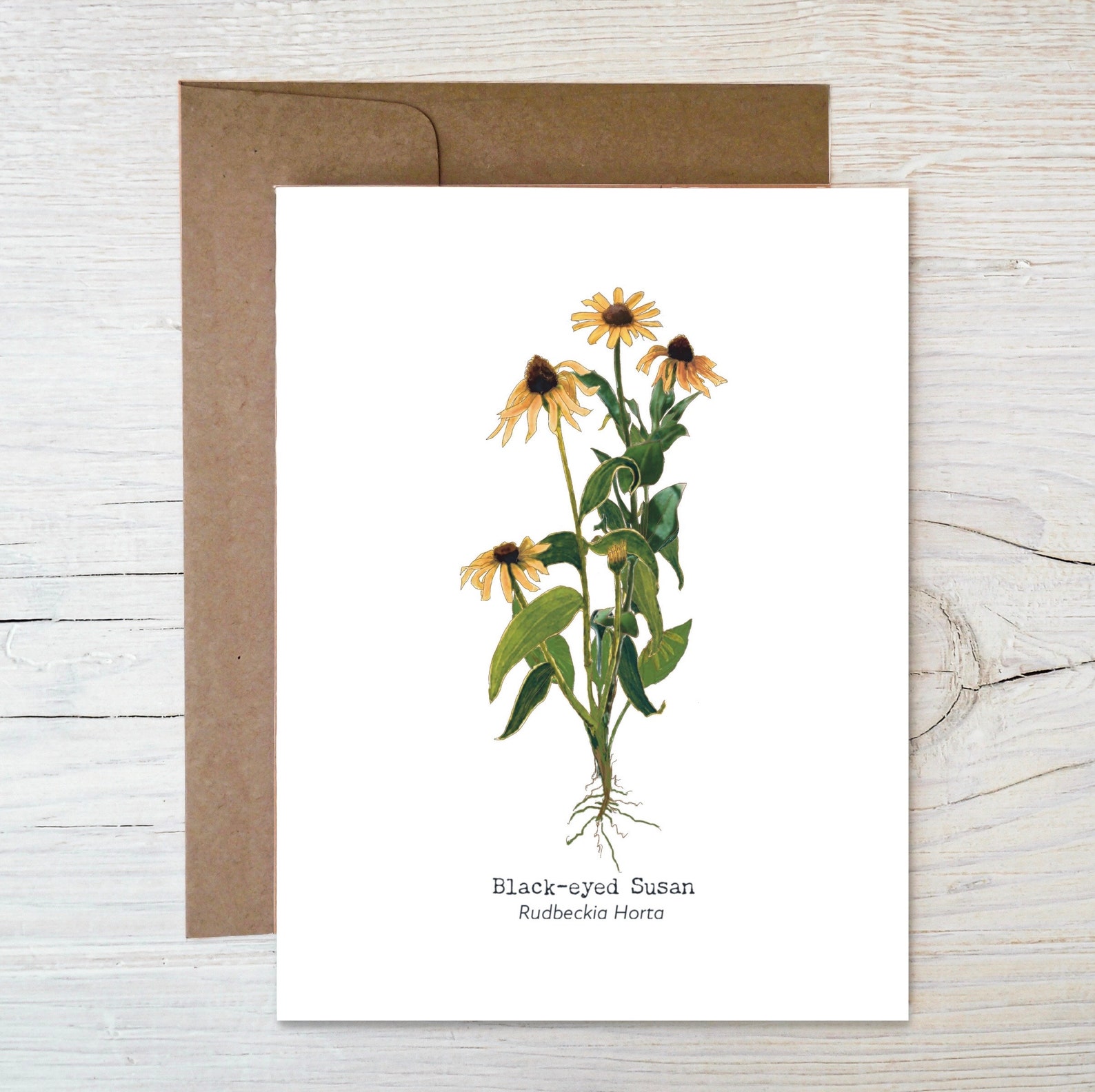 Plantable Wildflower Seed Card Botanical Seed Card Painted - Etsy