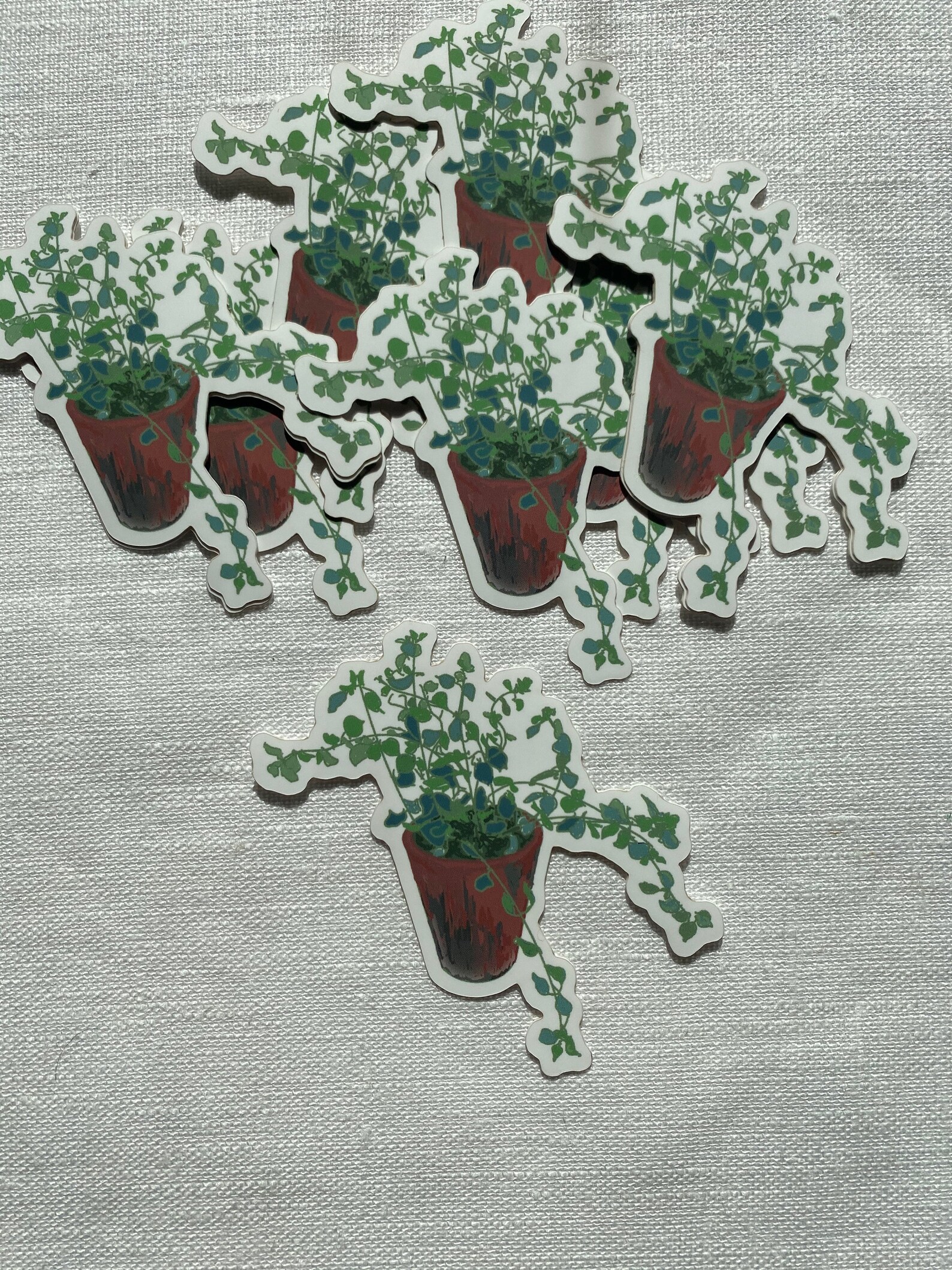 Plant Sticker Waterproof Herb Matte Vinyl Decal Oregano | Etsy