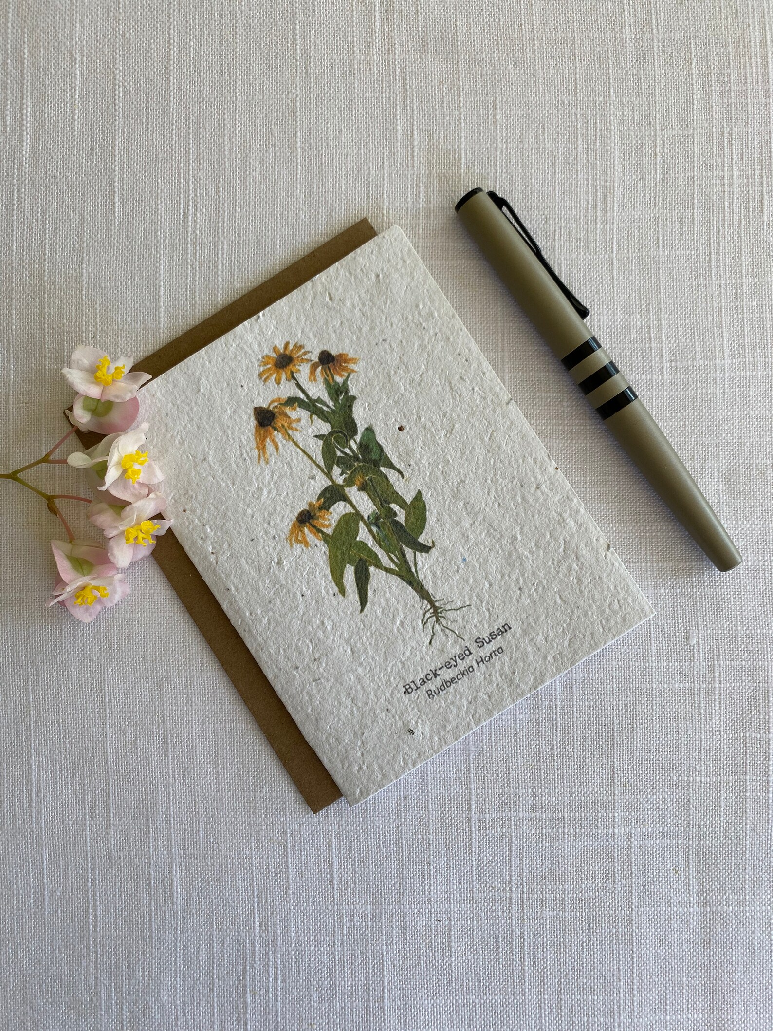 Plantable Wildflower Seed Card Botanical Seed Card Painted | Etsy