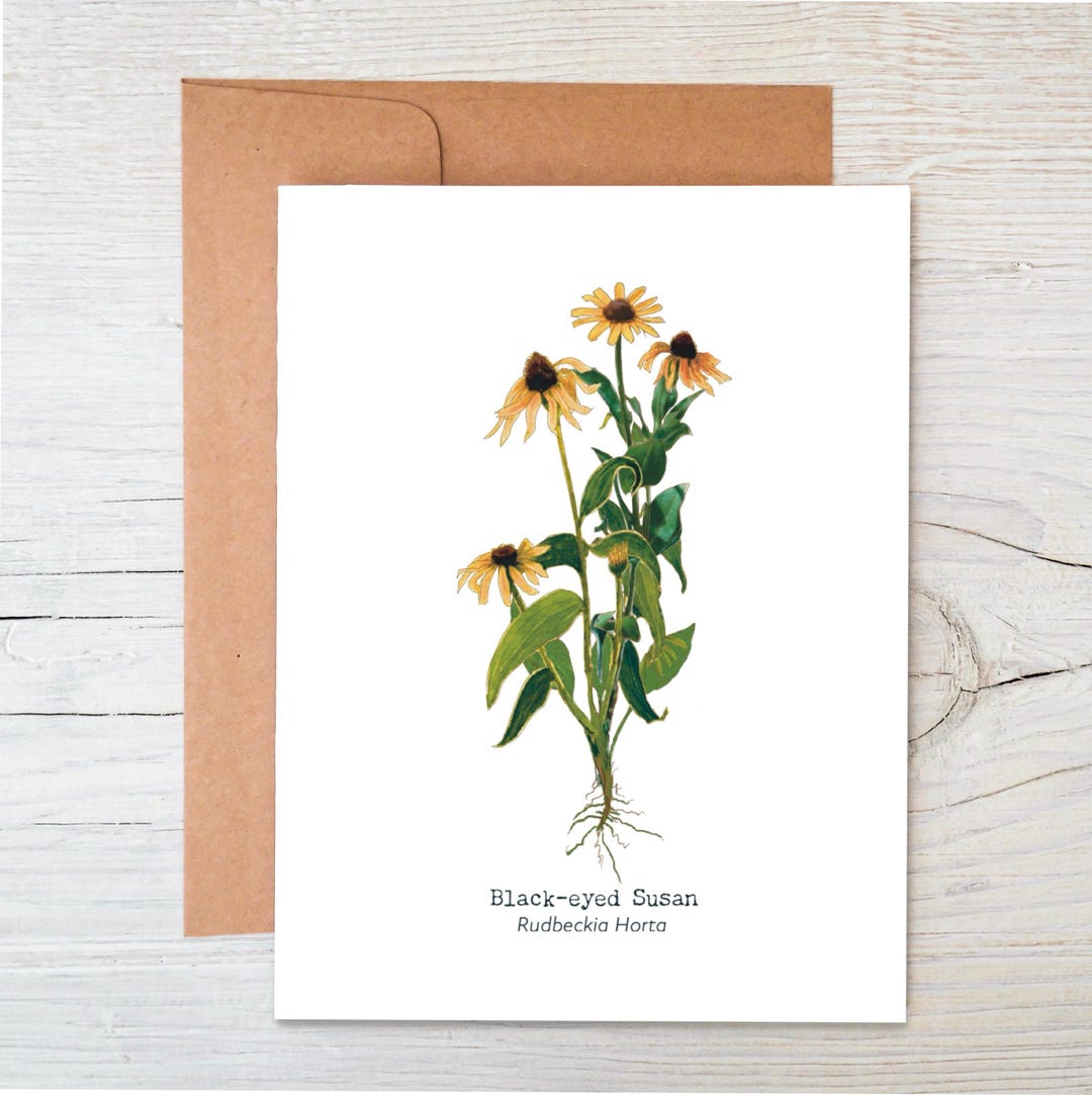 Pflanzliche Wildblumen Samen Karte: Black-Eyed Susan Eco-Friendly ...