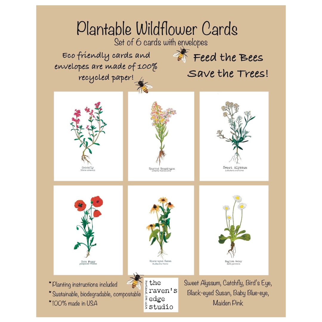 Set of 6 Seed Cards Plantable Seed Cards Wildflower Greeting Cards ...