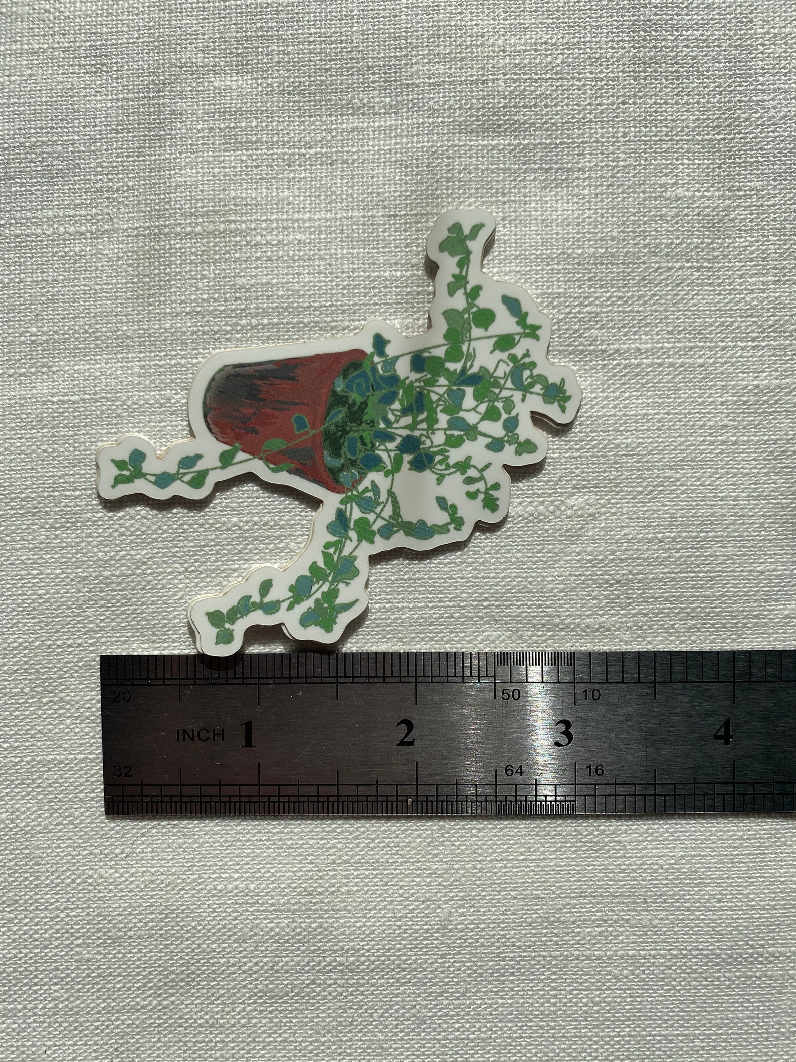 Plant Sticker Waterproof Herb Matte Vinyl Decal Oregano | Etsy