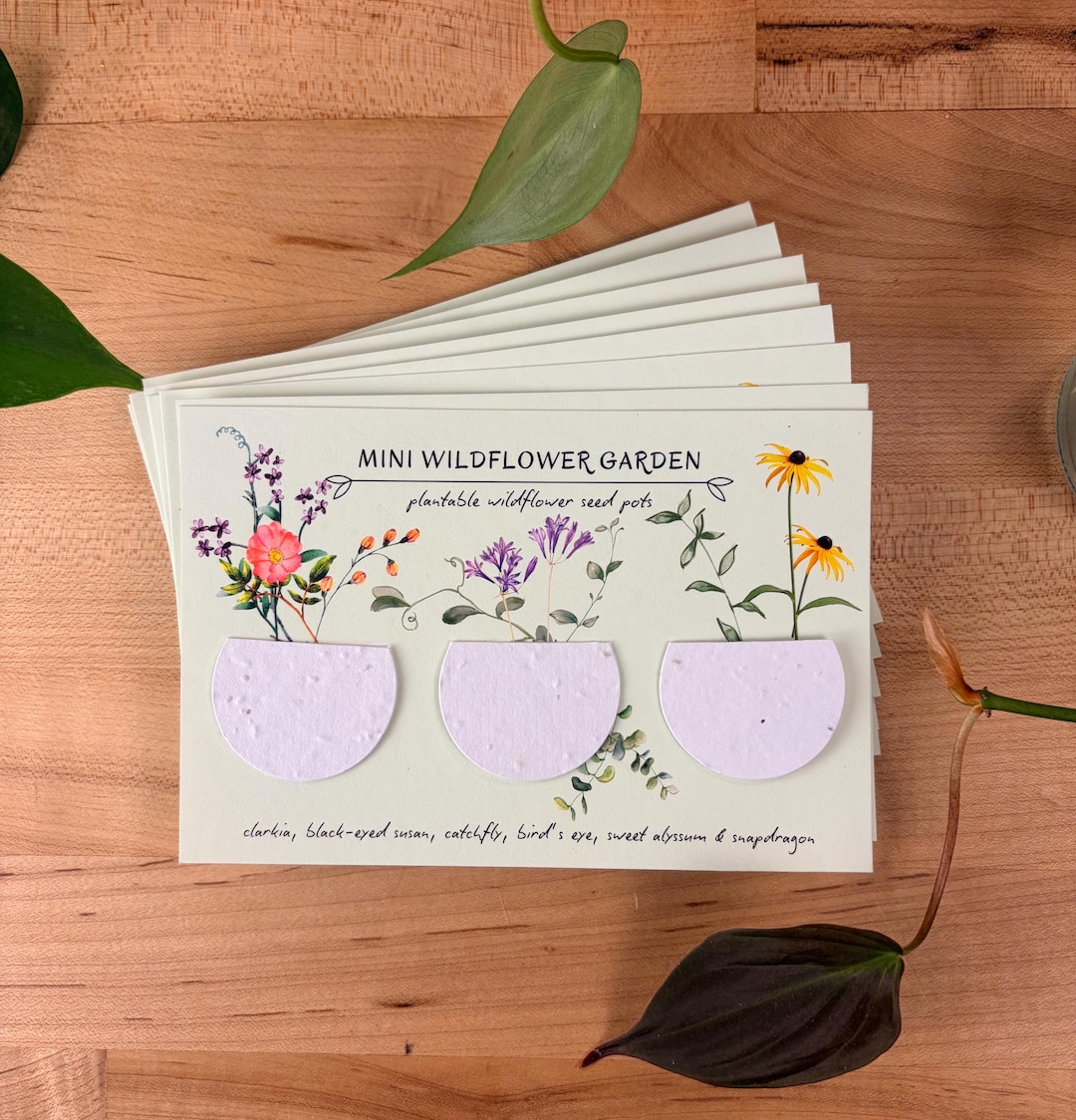 Plantable Seed Favor: Mini Wildflower Garden Pots - Etsy