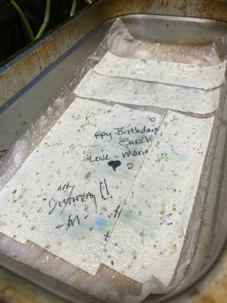 Plantable Wildflower Seed Card Botanical Seed Card Painted - Etsy