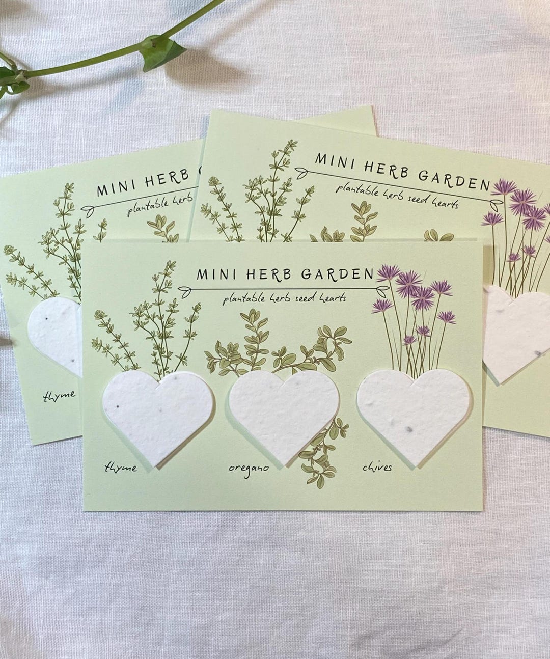 Plantable Party Favors | Herb Seed Favors | Thyme Seed Favors | Eco ...