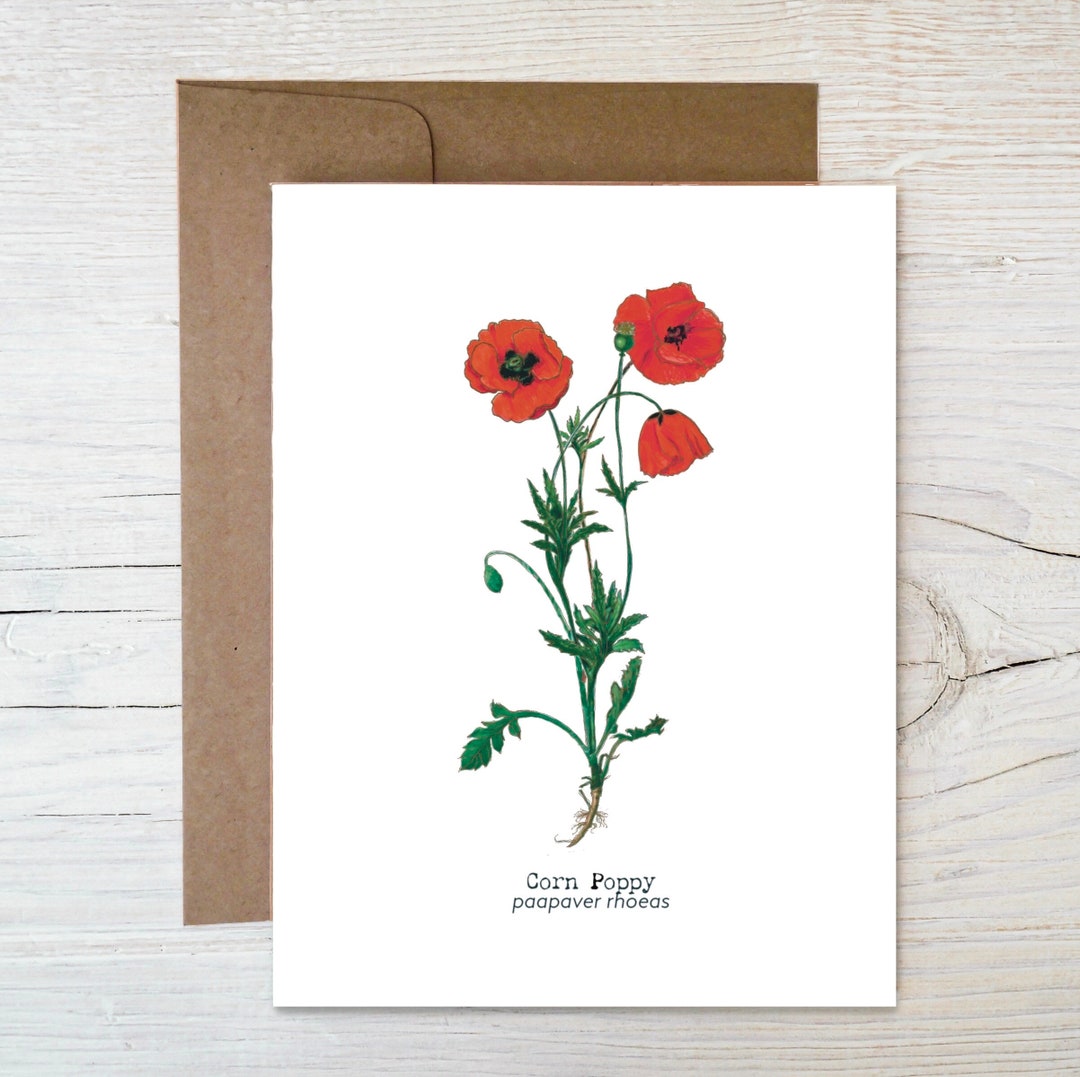 Plantable Wildflower Seed Card Botanical Greeting Card - Etsy