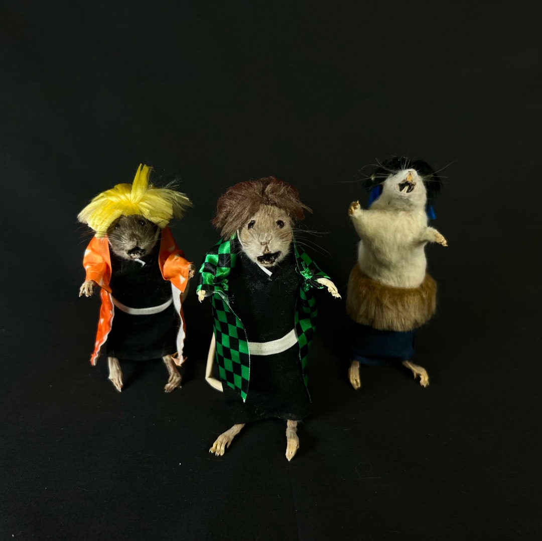 Rat Slayer - Demon Slayer Inspired Taxidermy Rats - Etsy