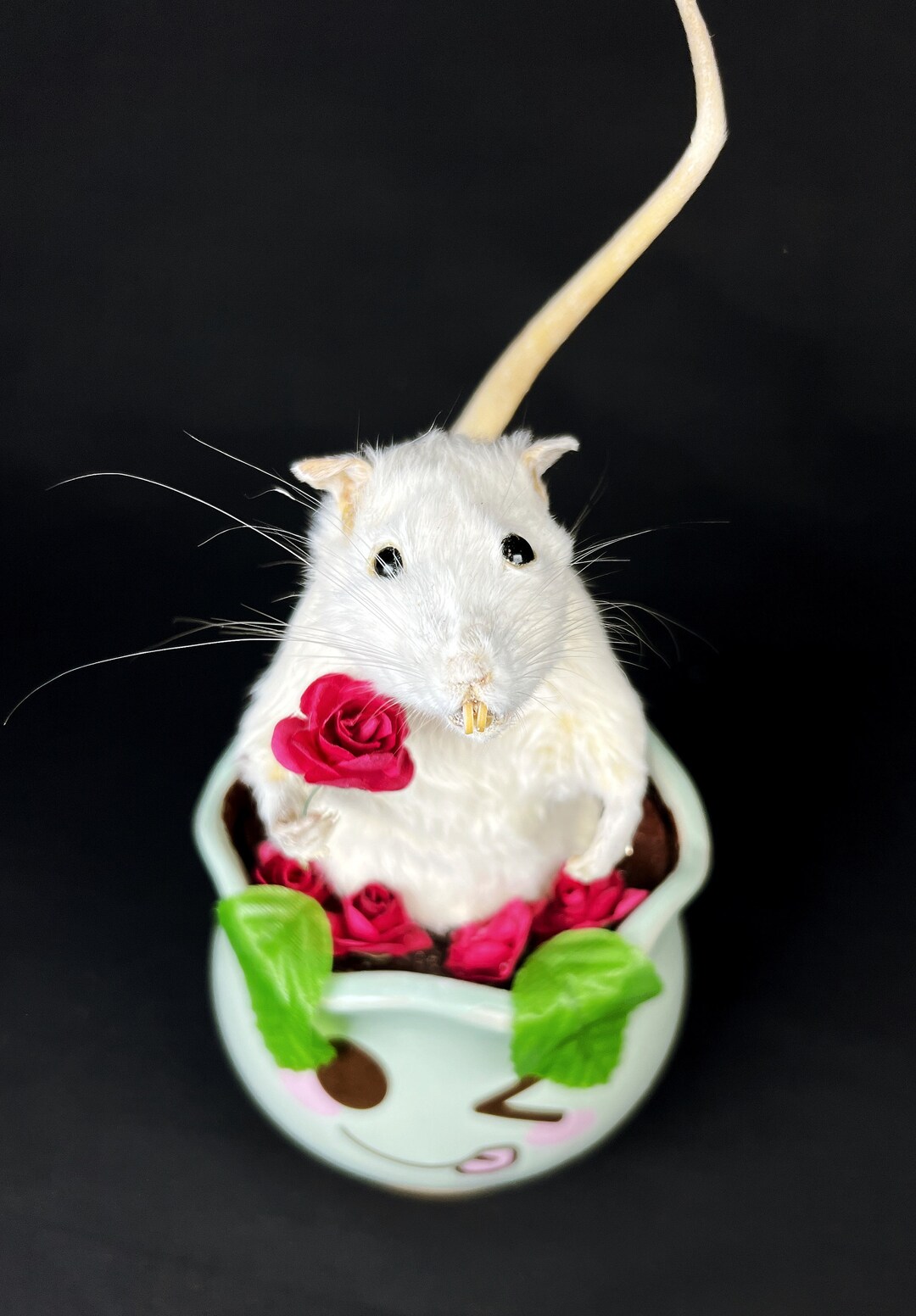Torrie in a Flower Pot Taxidermy Rat - Etsy