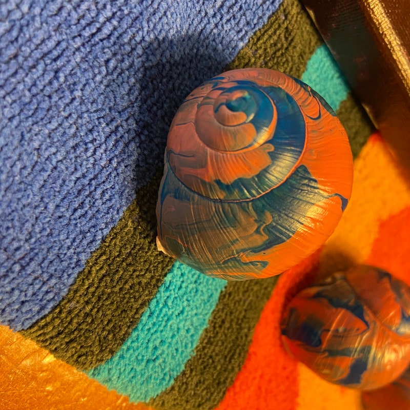Apple Snail Shell - Etsy