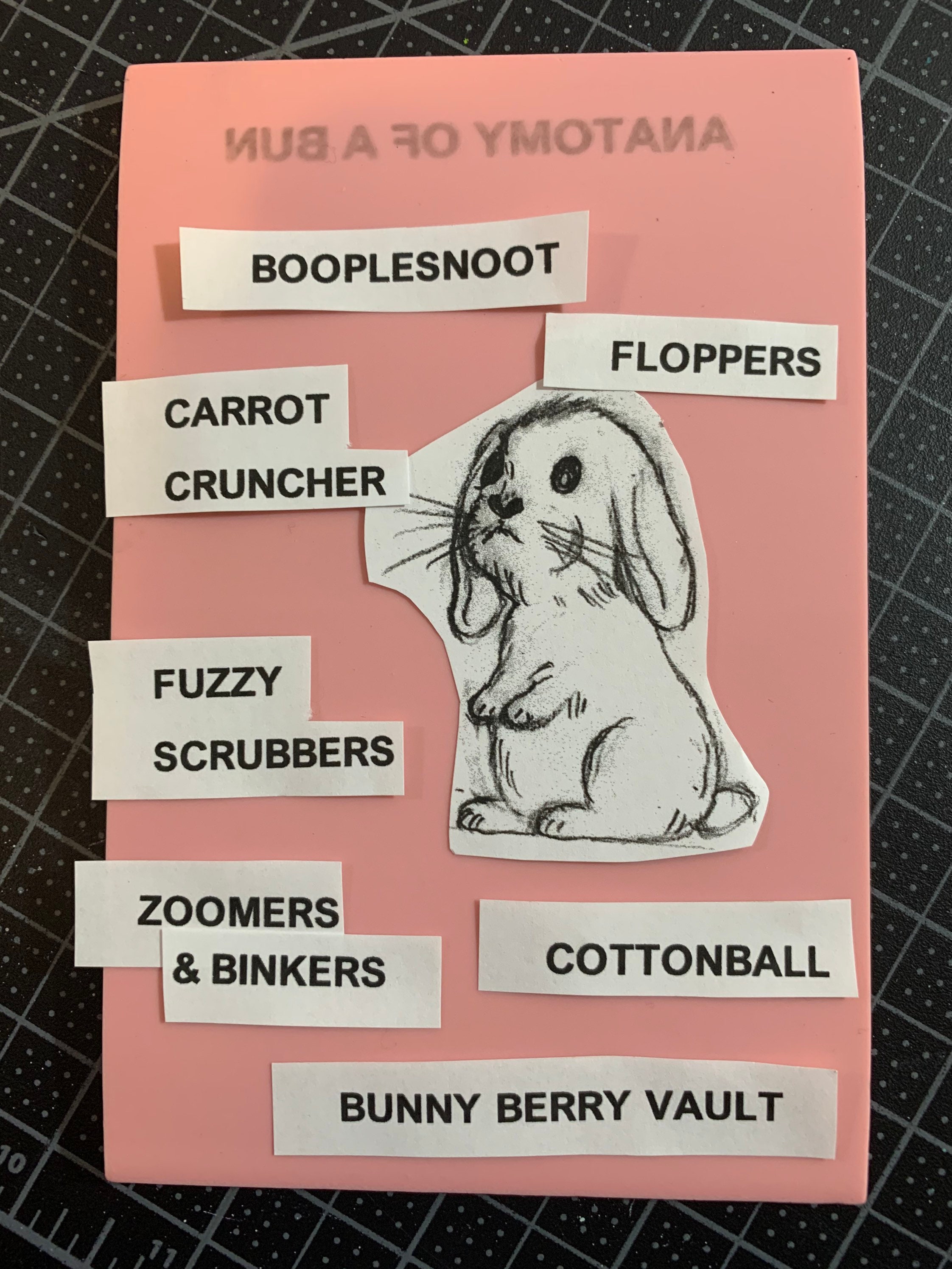 Anatomy of a Bun Lino Print Bunny Print Bunny Art Hand Printed Linocut ...