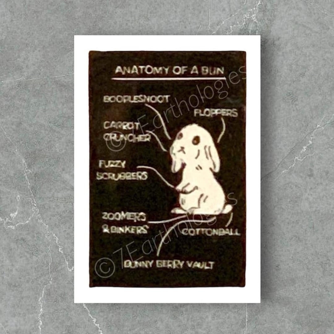 Anatomy of a Bun Lino Print | Bunny Print | Bunny Art | Hand Printed ...
