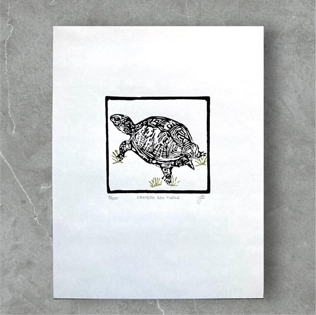 Eastern Box Turtle Lino Print | Turtle Print | Hand Printed | Linocut ...