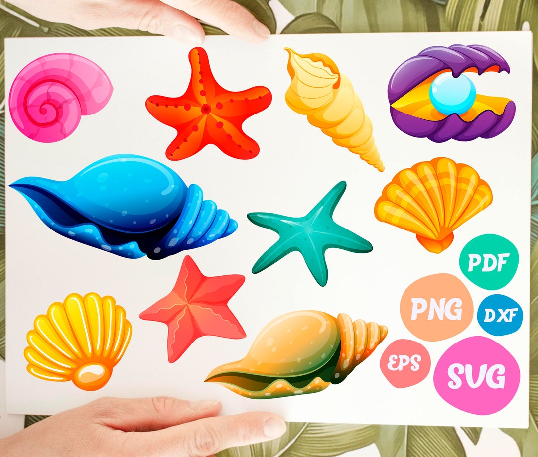 Seashell Svg,seashell Svg,seashell Silhouette,seashell,seashell Svg ...