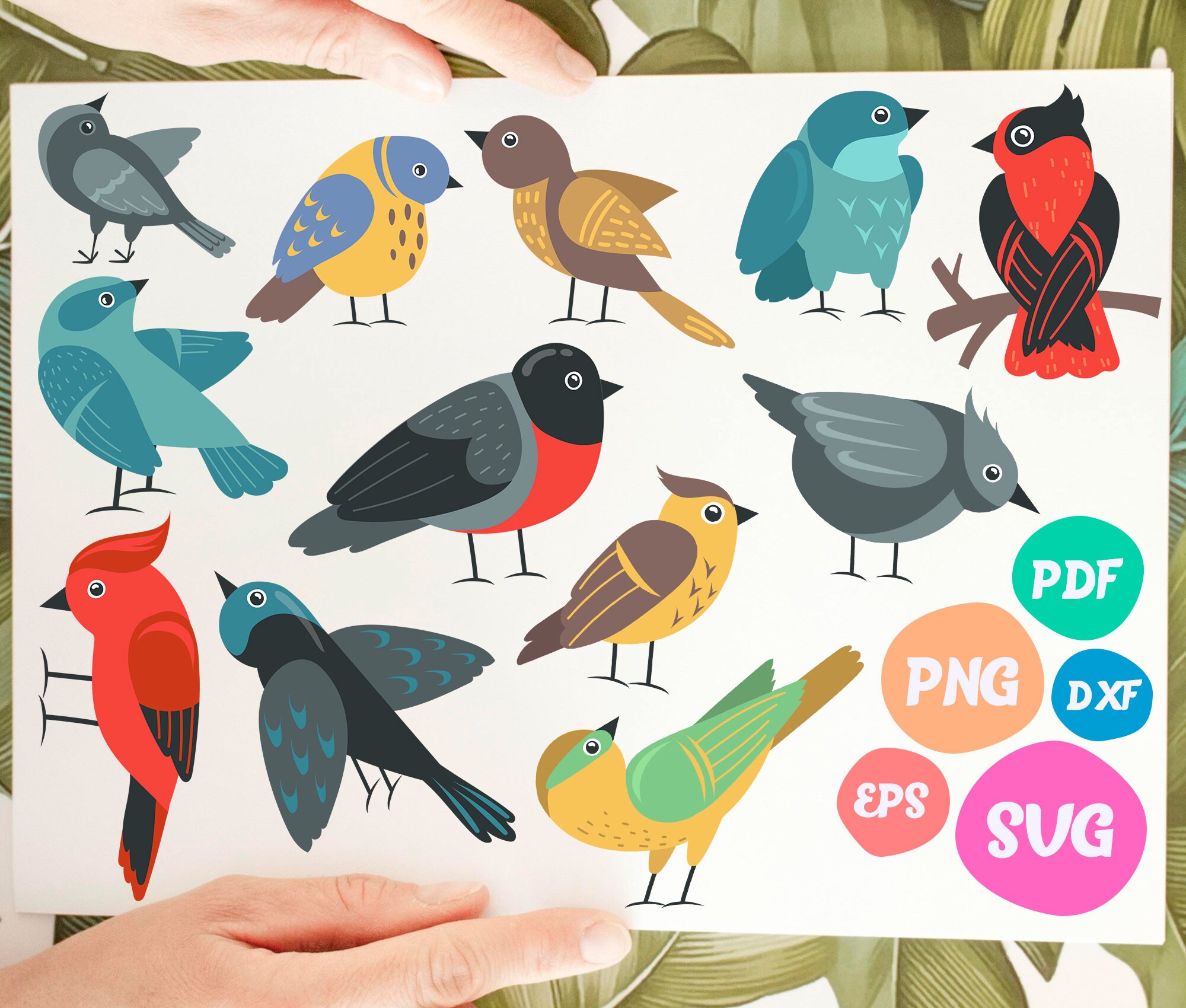 Cute Bird Svg Bundle,bird Svg,bird on a Branch Svg,birds Svg,small ...
