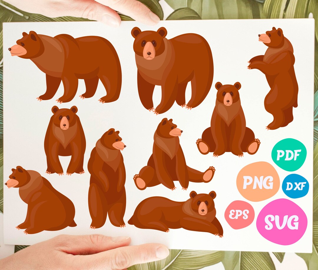 Osos svg, lindos osos svg, oso svg, animales svg, oso pardo svg, osos ...