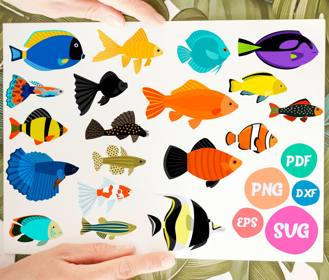 Exotic Fish Svg,fishing Svg, Fish Svg, Fisherman Svg, Sea Fish Svg, Sea ...