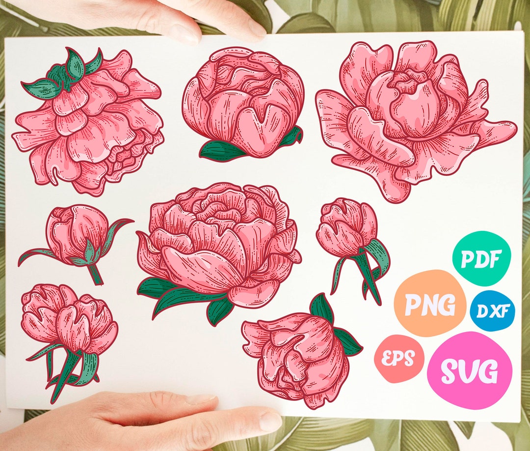 Peony Flowers Svg,flower SVG Bundle, Peony SVG Clipart, Peony Svg ...